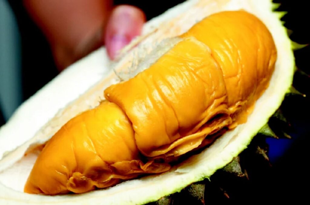 Jangan Lepaskan Edisi Terhad! Sunshine Perkenal Roti Berkrim Durian ...